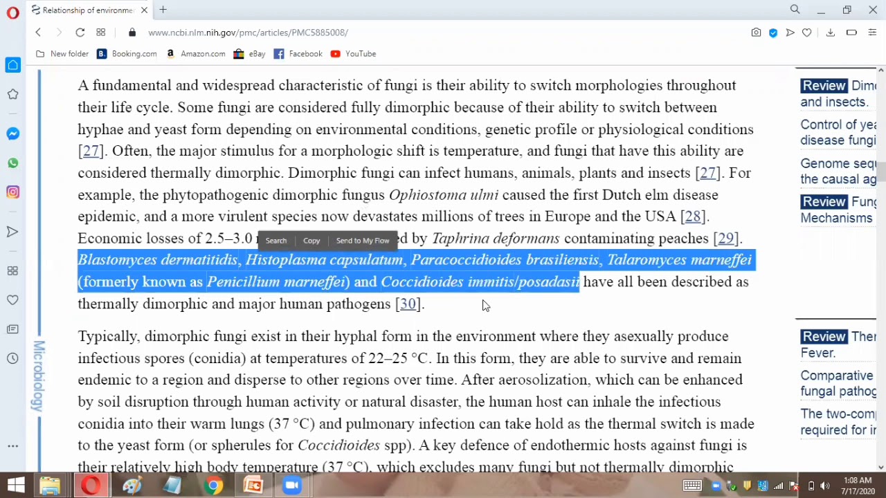 Dimorphic Fungi| Morphological Switching for Environmental Survival and ...