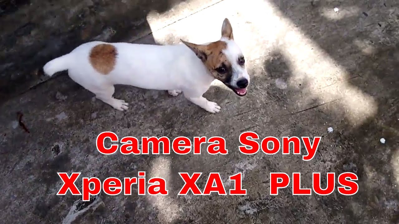 Sony Xperia XA1 Plus Camera Test Sample Video Steady Shot Off