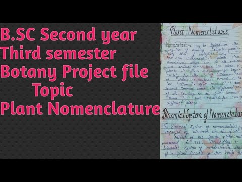 B.SC Second year, Third semester, Botany Project file, Topic Plant ...