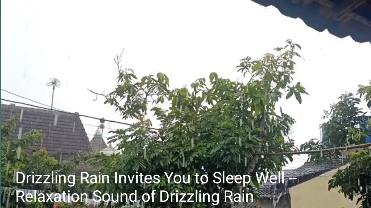 Drizzling Rain Invites You to Sleep Well || Relaxation Sound of ...