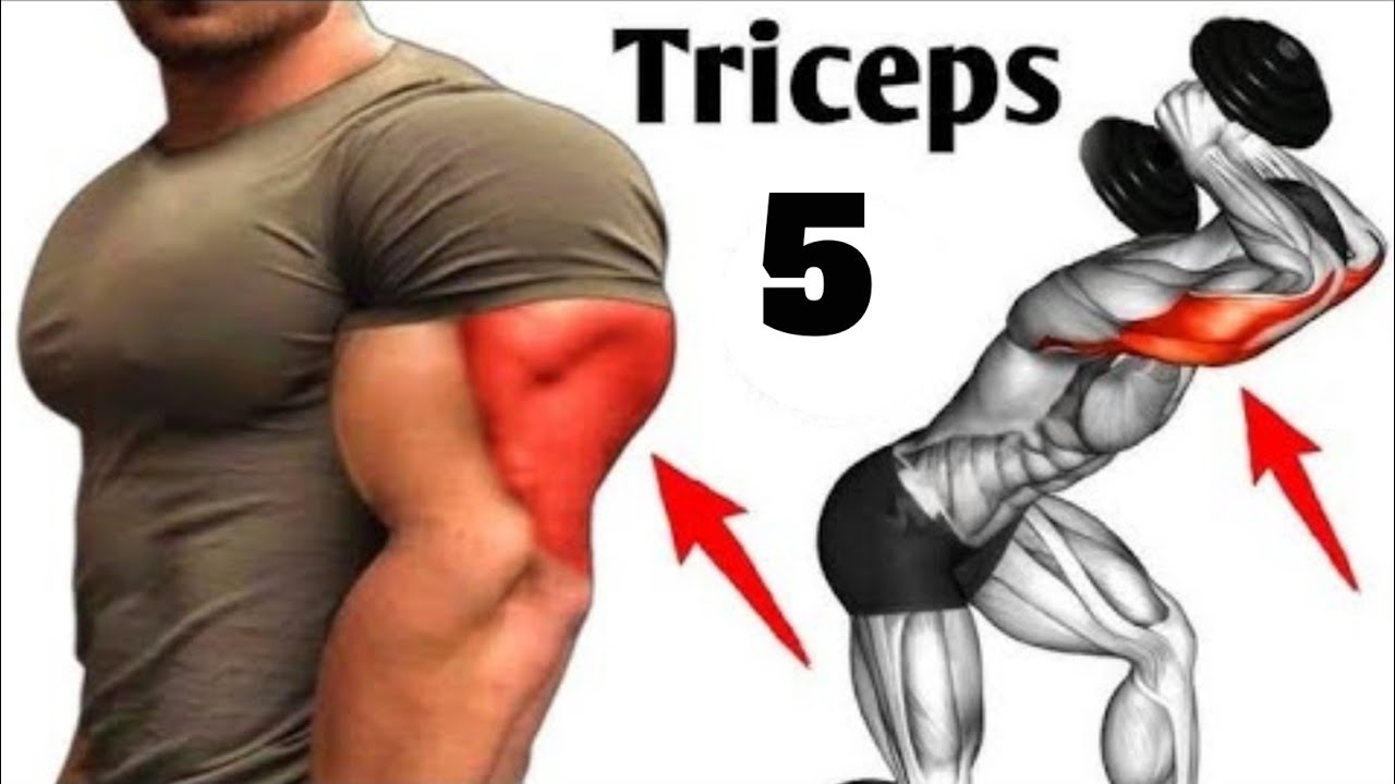 Top 5 Tricep Workouts for Maximum Muscle Growth - YouTube