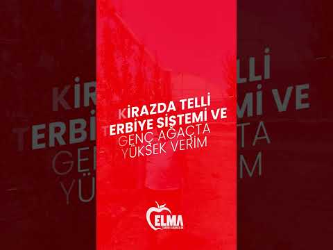 Kirazda Telli Terbiye Sistemi ve Genç Ağaçta Yüksek Verim