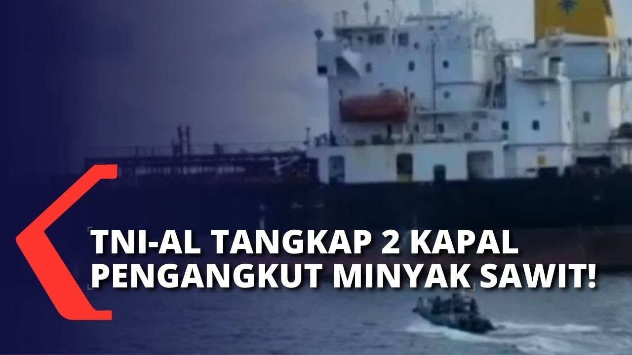 TNI AL Koarmada 1 Tangkap 2 Kapal Tanker Pengangkut Minyak Sawit! Siapa ...
