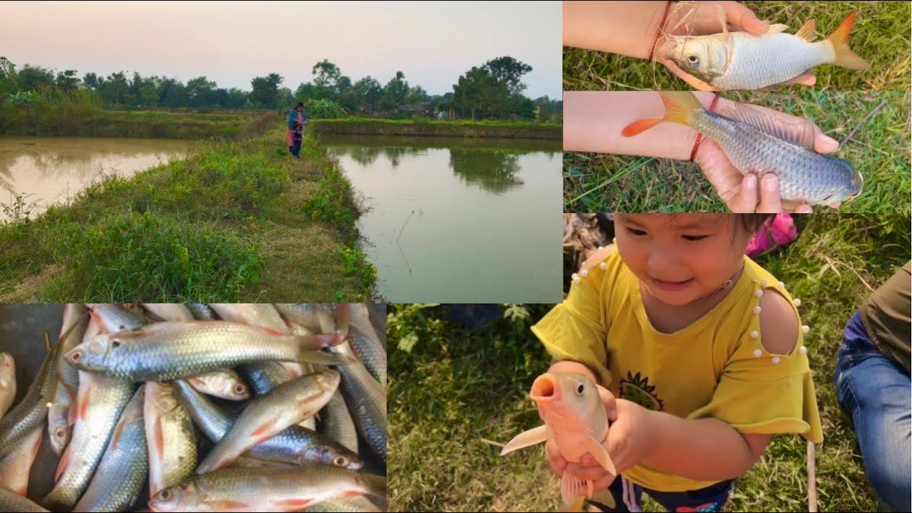 Machha ayo / family on a fishing trip at chhapiya fish village # ...
