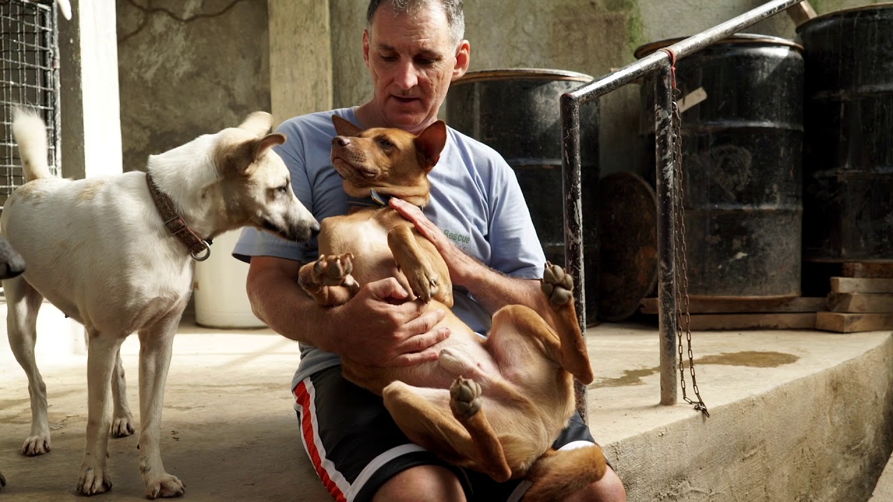 Mayari Animal Rescue Philippines - Image Video - YouTube