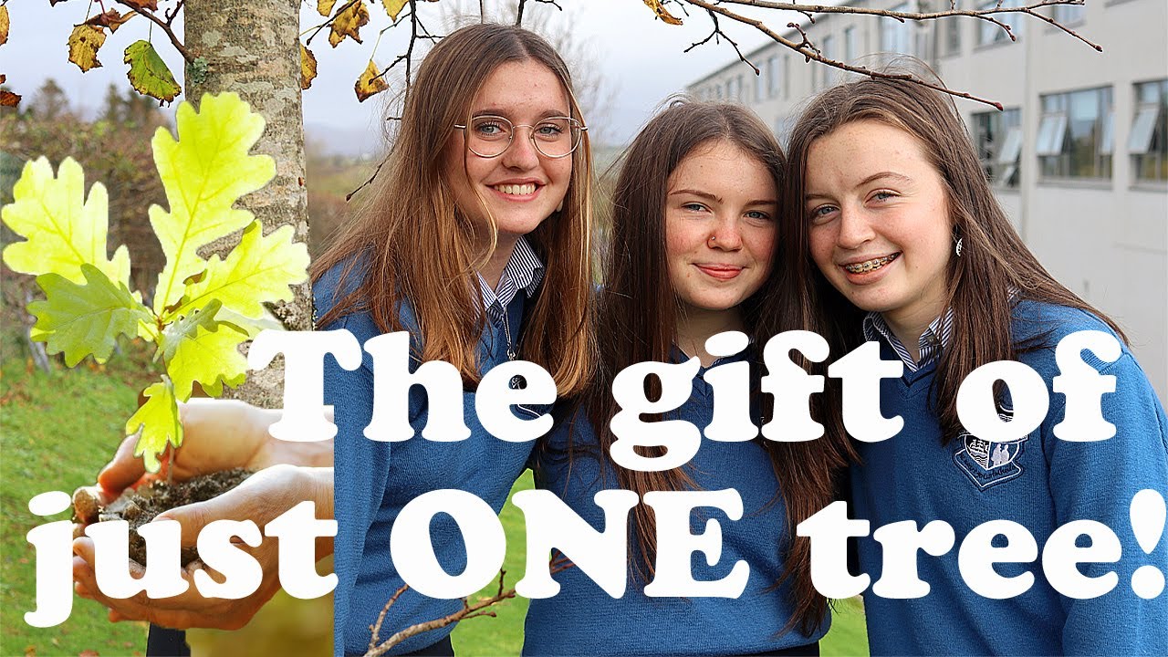 The Gift of just ONE Tree - YouTube