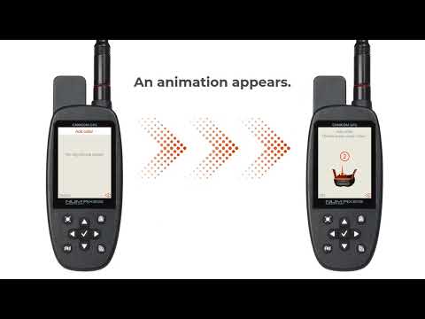 CANICOM GPS : adding a collar