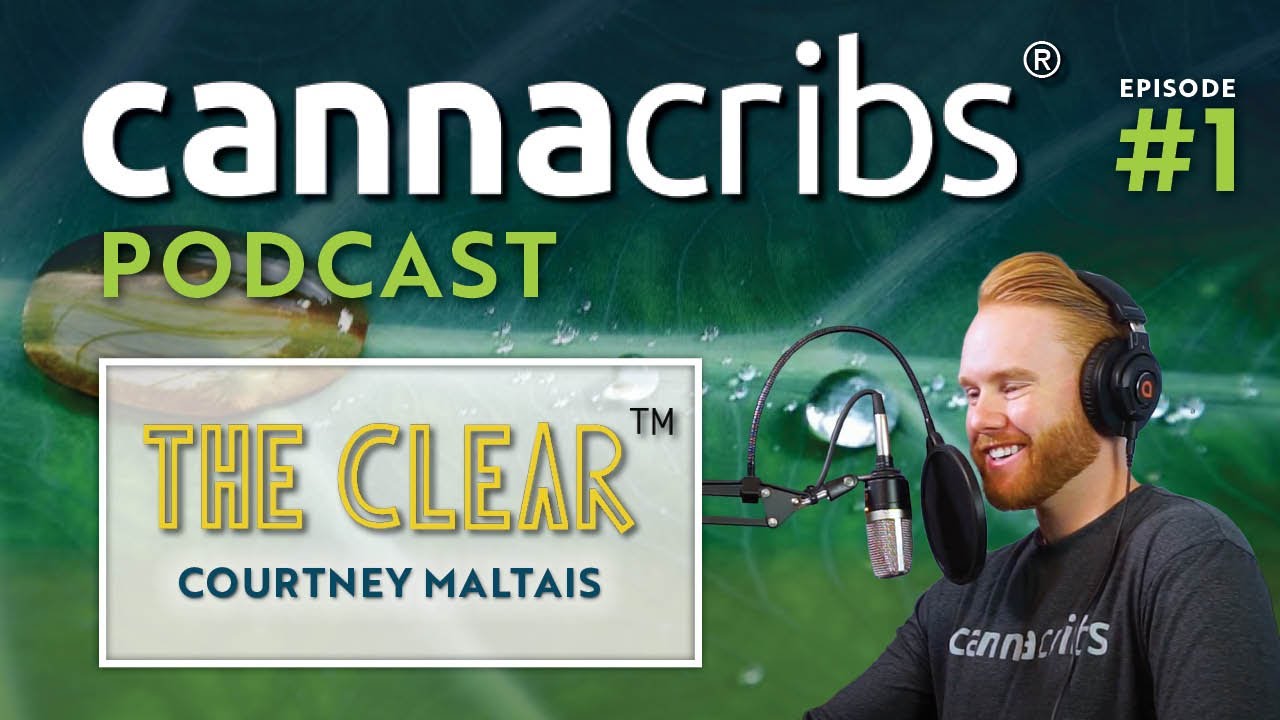 The Clear Cannabis Concentrates with Courtney Maltais (Canna Cribs ...