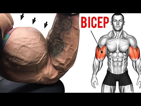 BICEP BLOW UP - Biceps Workout at gym with Dumbbells | No Repeat 💪 # ...