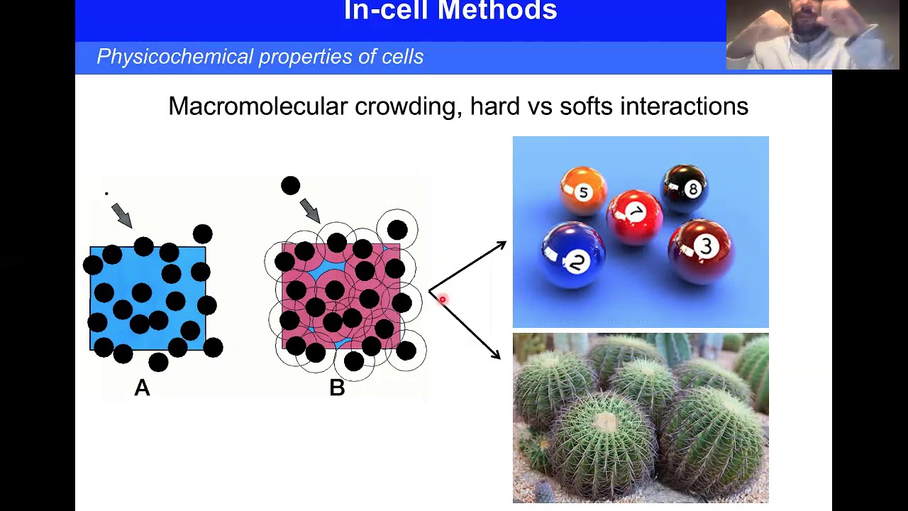 Métodos in cell - YouTube