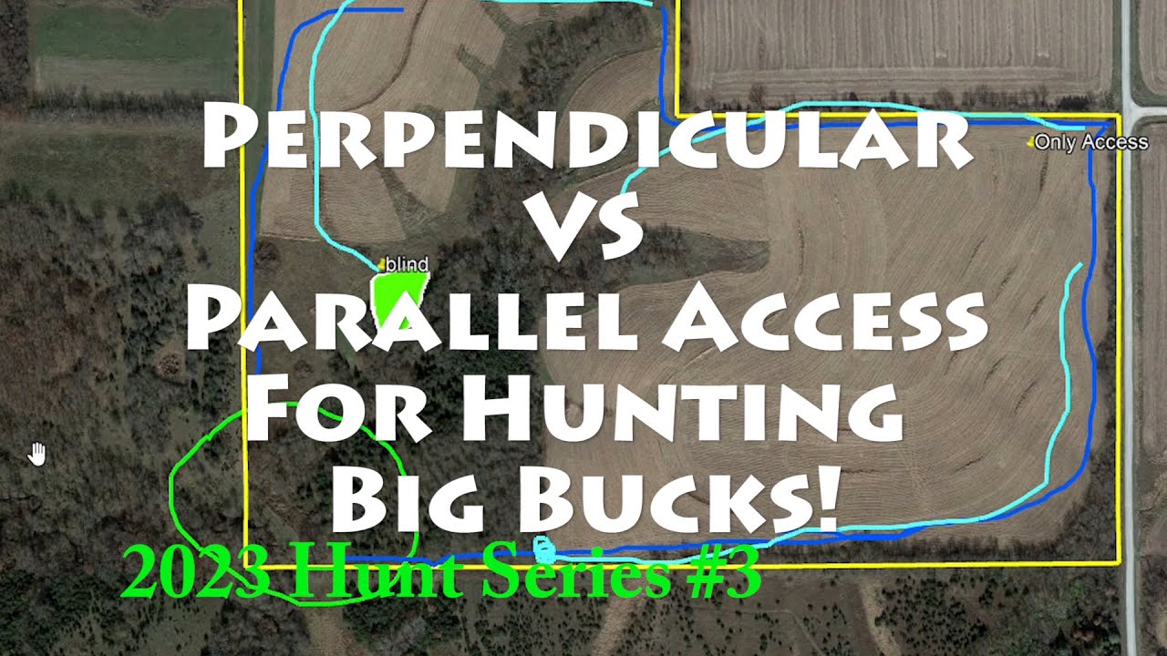 2023 Hunt Series #3 The Best Access to Your Stands - YouTube
