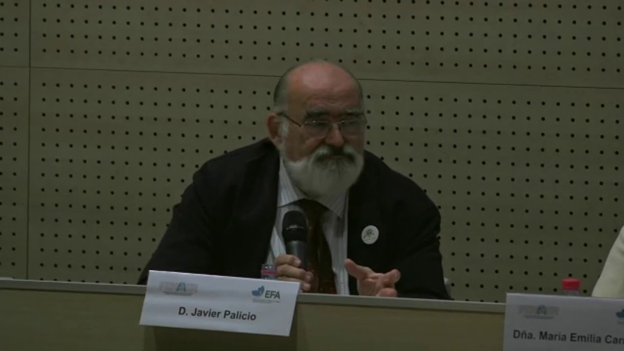 I Congreso FENAER Javier Palicio - YouTube