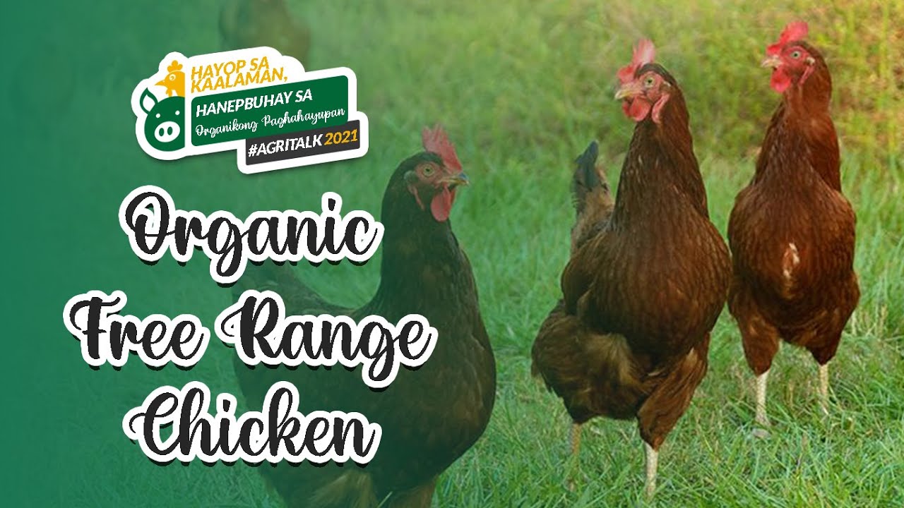 Episode 1: AgriTalk 2021: Organic Free Range Chicken | August 16, 2021 ...