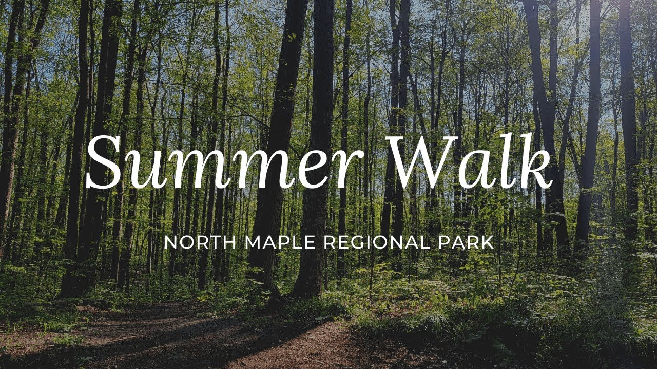 Walking the North Maple Regional Park on a beautiful Summer morning ...