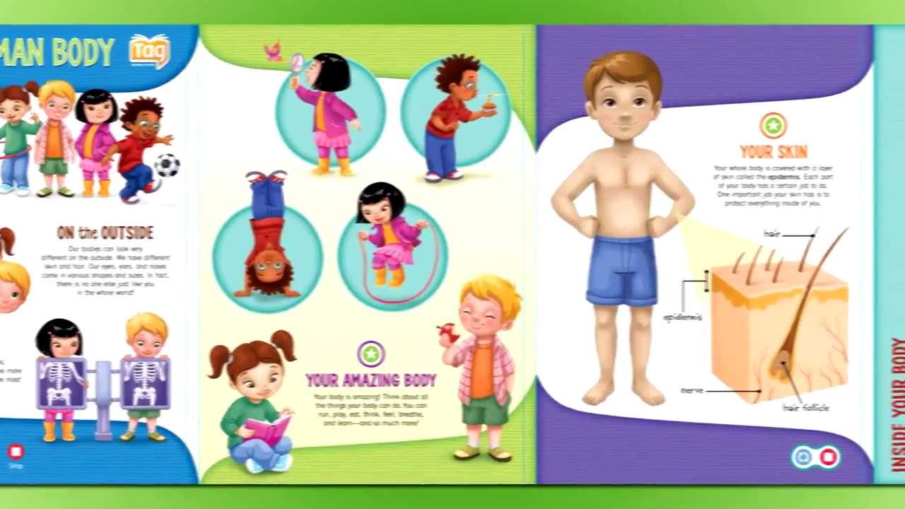 LeapFrog Tag Interactive Human Body Discovery - YouTube