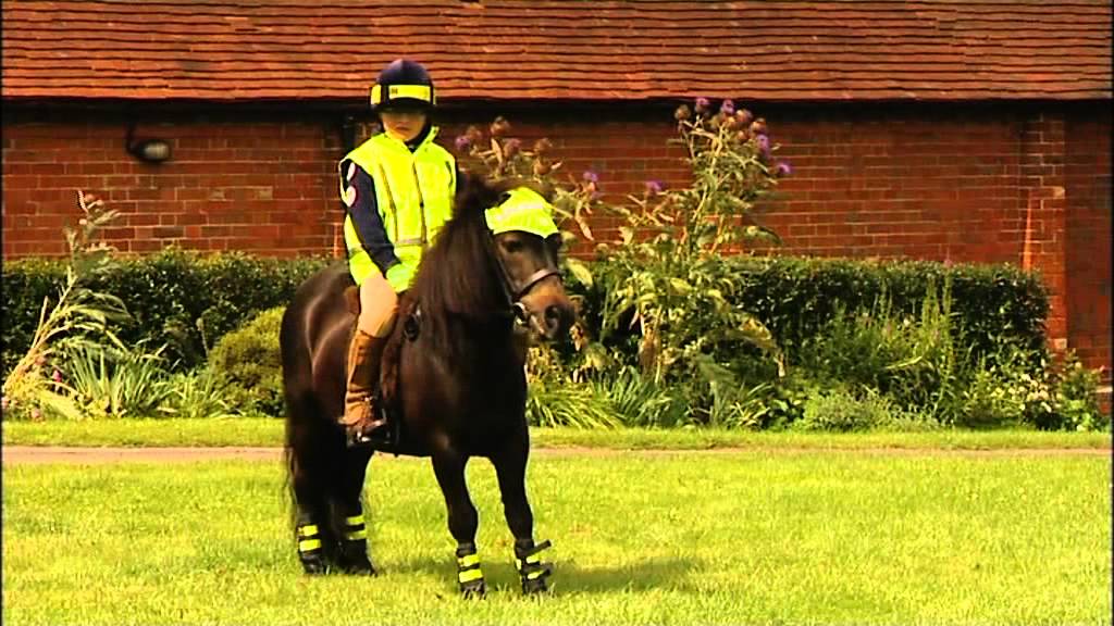A Snapshot of The Pony Club Road Rider DVD - YouTube