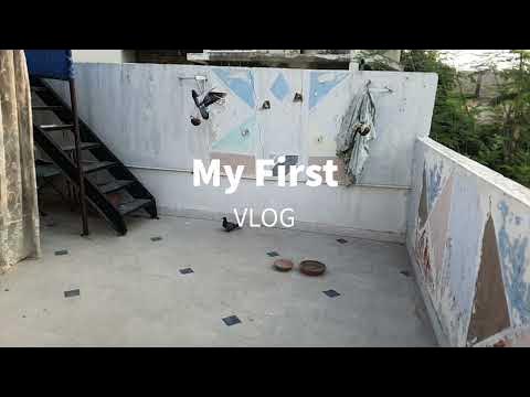 My First Vlog | Ali Khan Vlog | Vlog 1 - YouTube