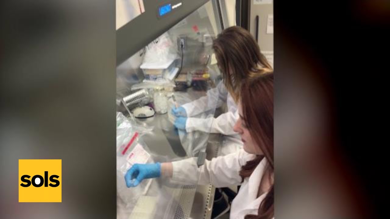 School of Life Sciences | Mannequin Challenge - YouTube