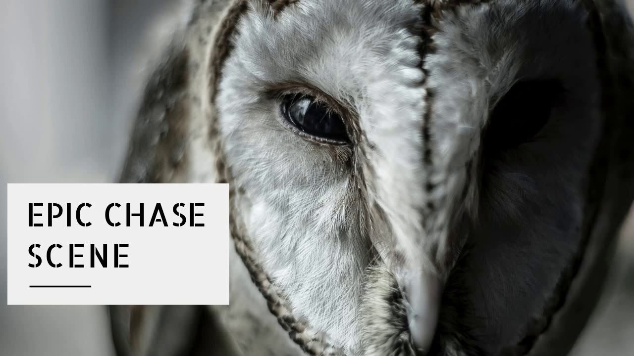 Epic Chase Scene - Background Music - YouTube