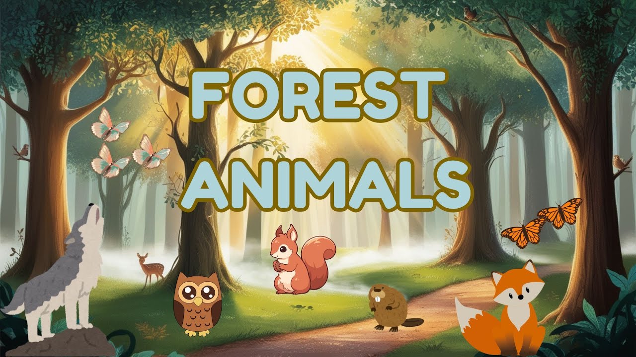 Learn 10 Forest Animals | Sounds and Real Footage Adventure for Kids ...