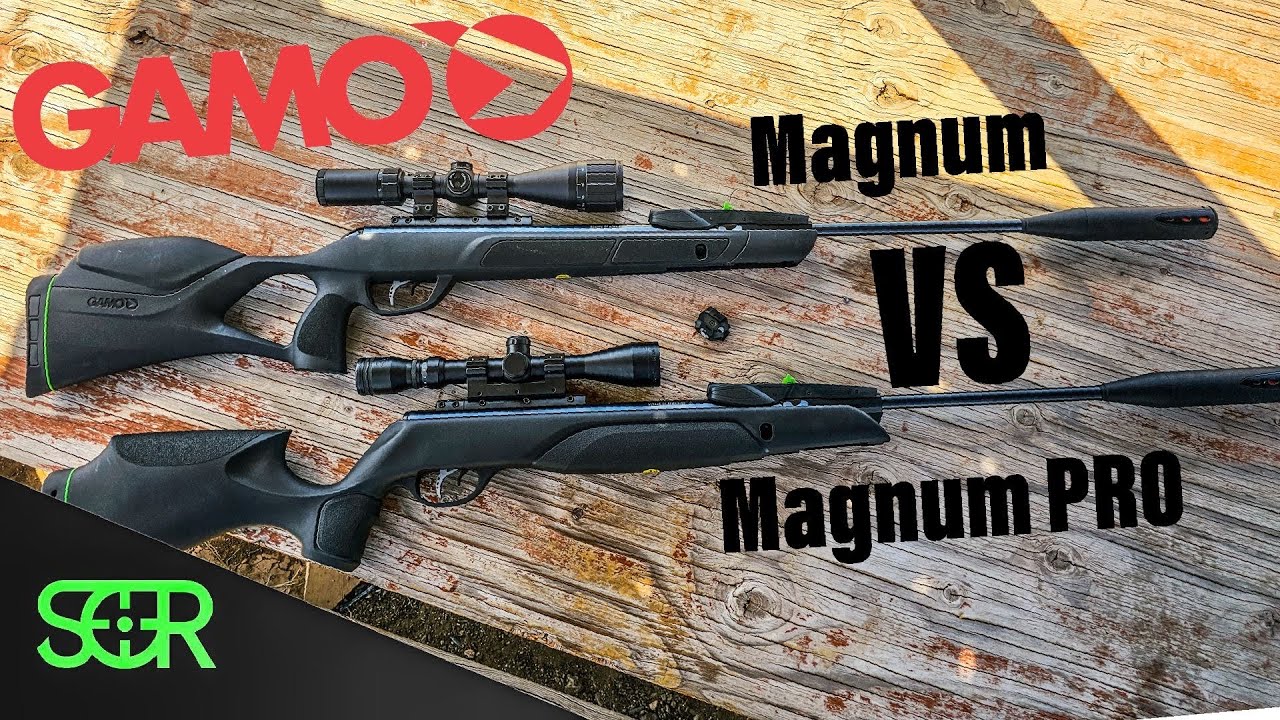 NEW Gamo Magnum PRO .22 VS Gamo Magnum .22 - YouTube