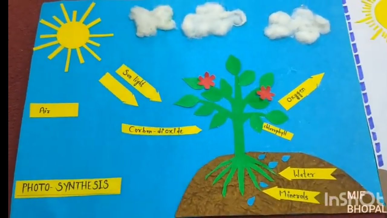 PHOTOSYNTHESIS - Science project work by the students & all Friday's ...