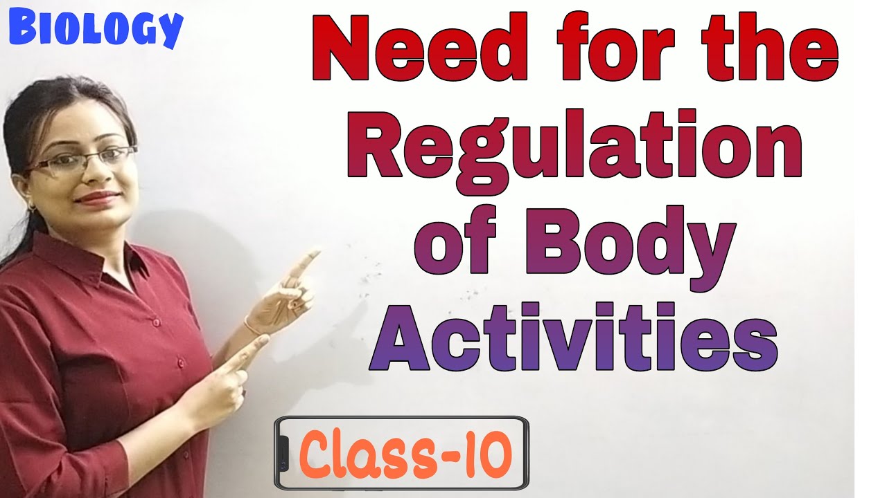 Need for Regulation of Body Activities|#Endocrine System| Class-10 ICSE ...