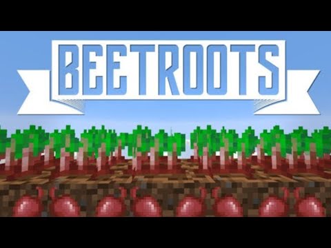 Making the best beetroot farm in minecraft - YouTube