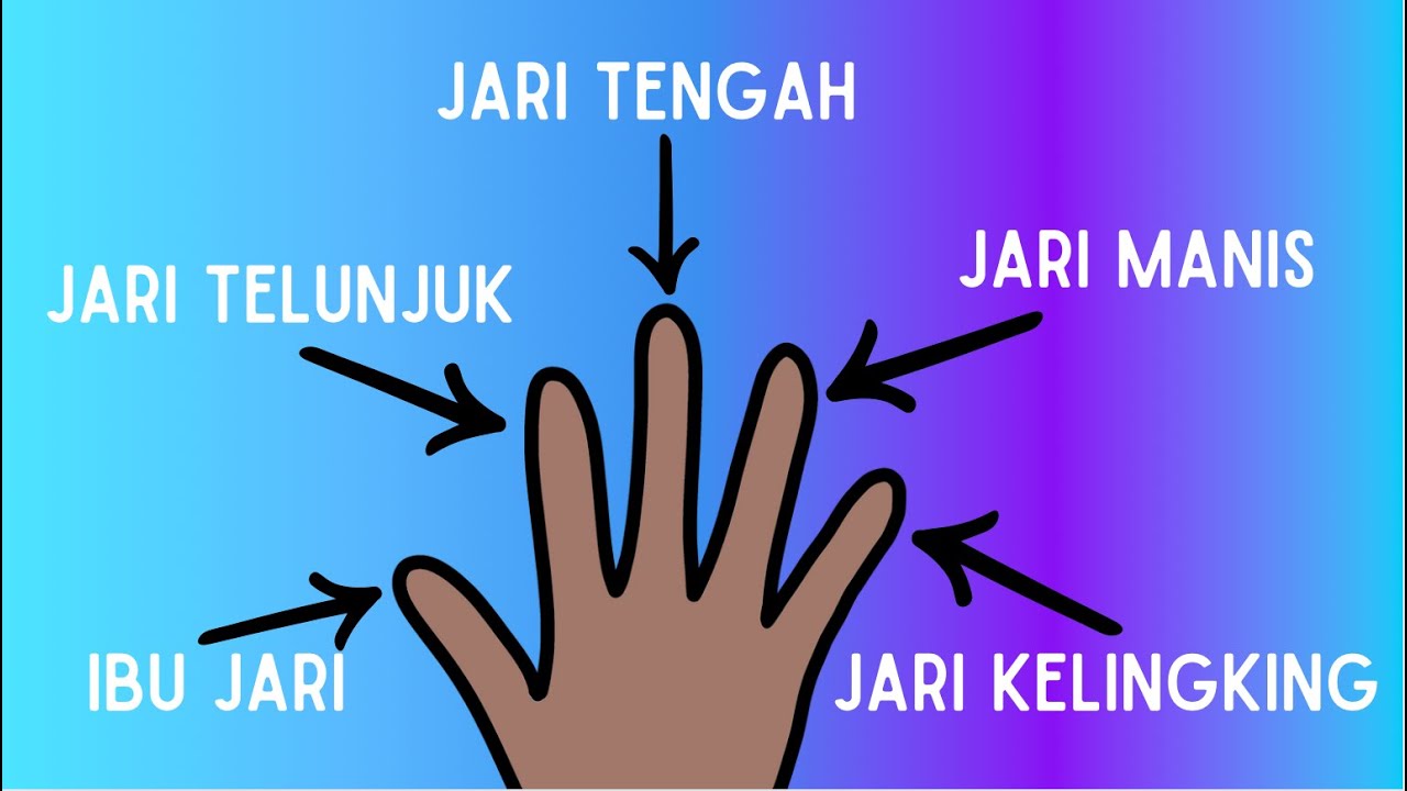 Latihan jari tangan - Indonesian Names for Fingers - YouTube