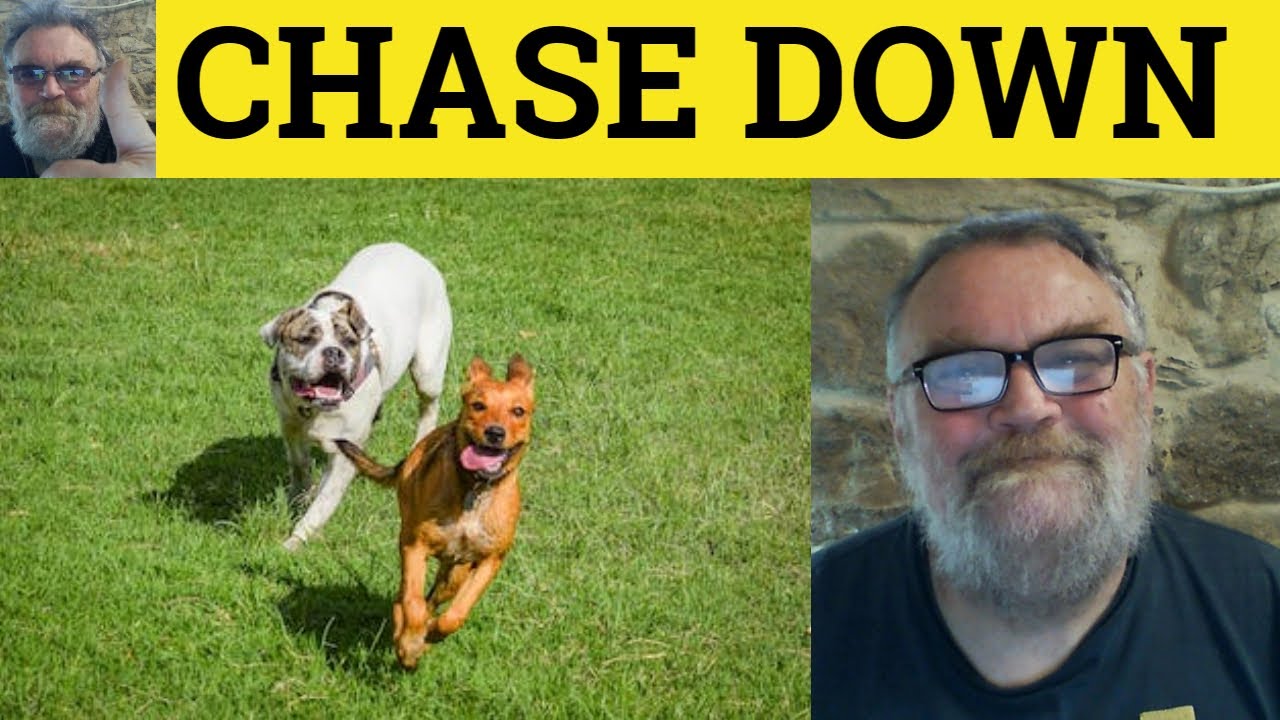 🔵 Chase Down Meaning - Chase Down Examples - Chase Down Definition ...