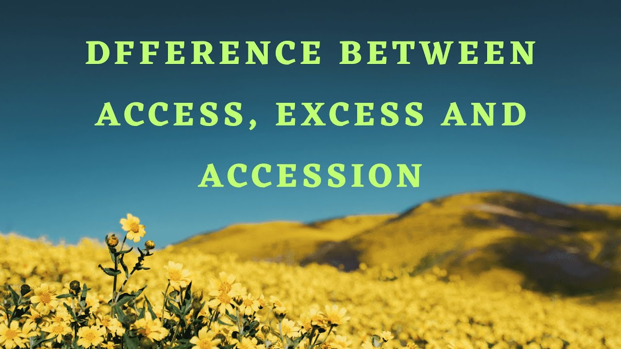 Difference Between Access, Excess and Accession/ Access vs Excess vs ...