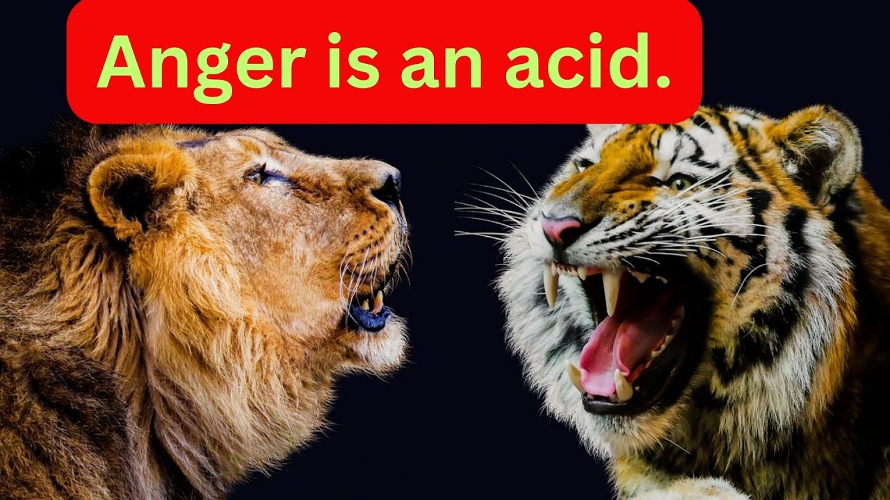 Whatever is begun in anger ends in shame./quotes about anger . - YouTube