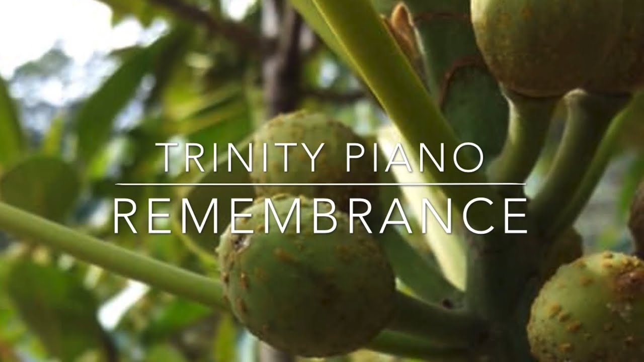 Remembrance, Maria Mifsud, Trinity Piano Grade 4, 2021-2023 - YouTube