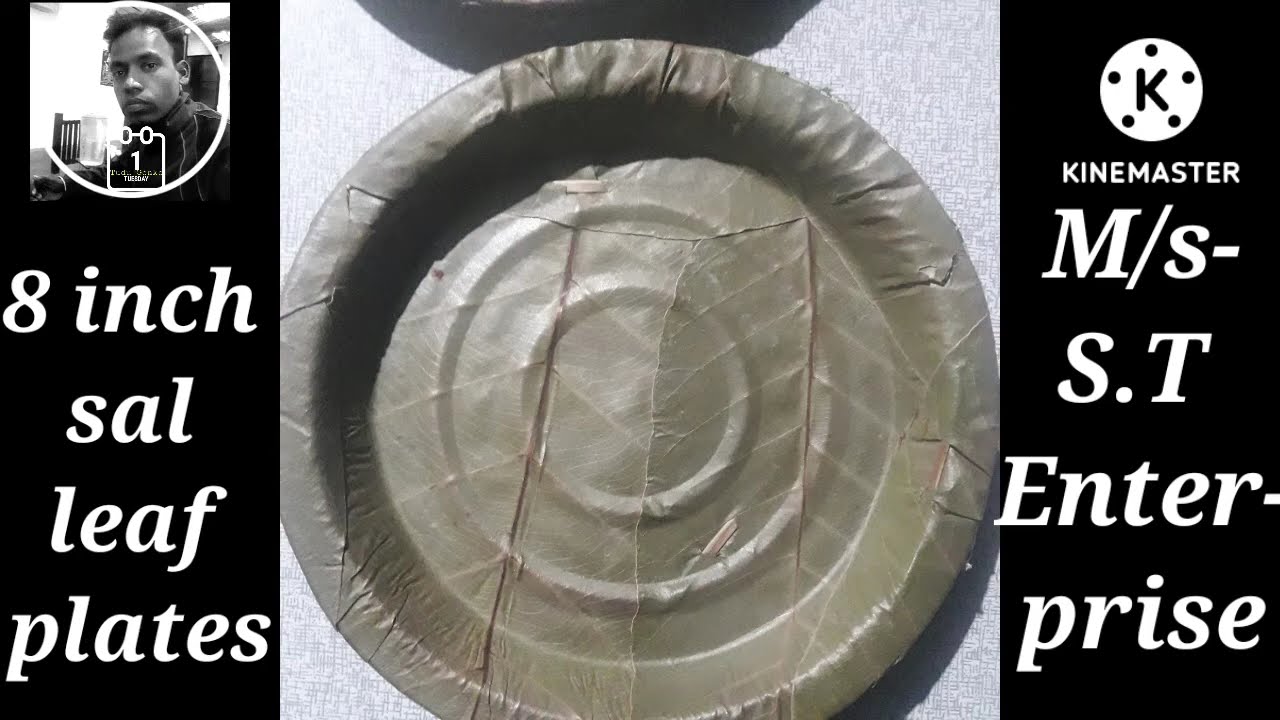 8 Inch Sal Leaf Plates Manufacturing YouTube 8 Inch Sal Leaf Plates Manufacturing YouTube
