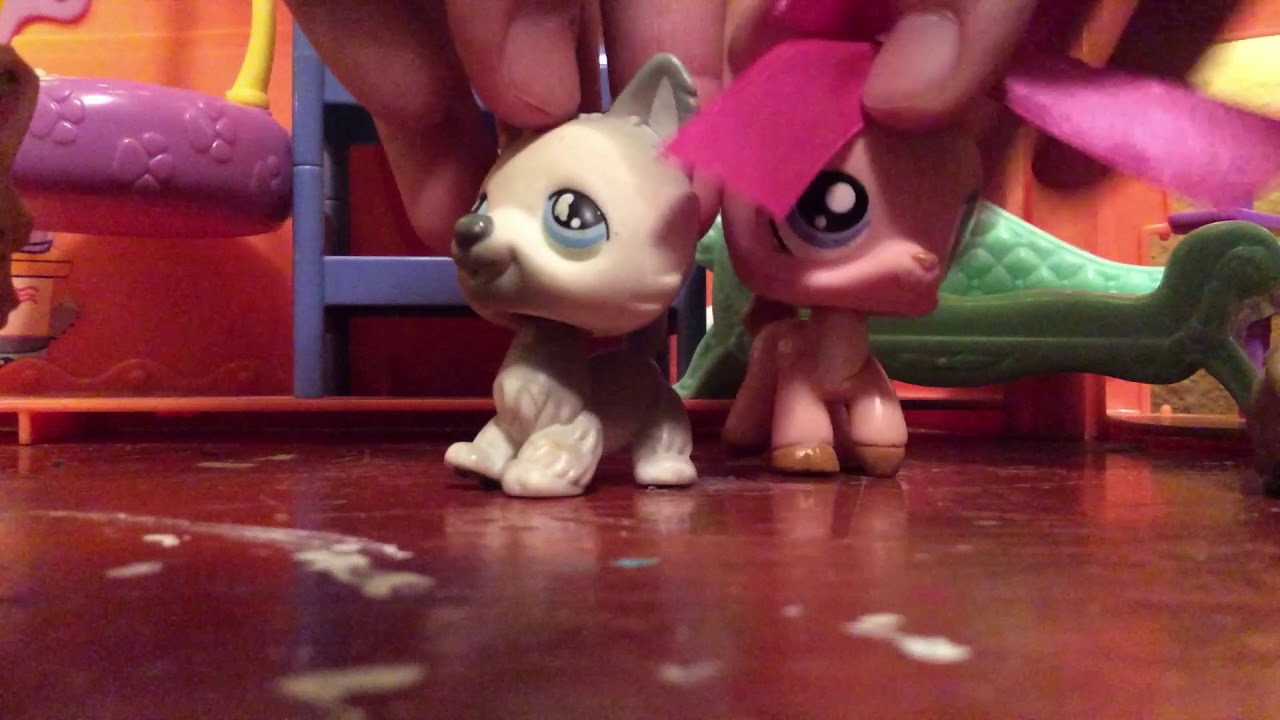 Lps mv (it) bev sings A song - YouTube