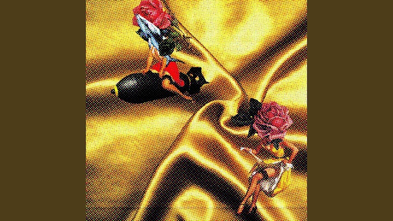 Philoso-Chionophile Fka Pluviophile - YouTube