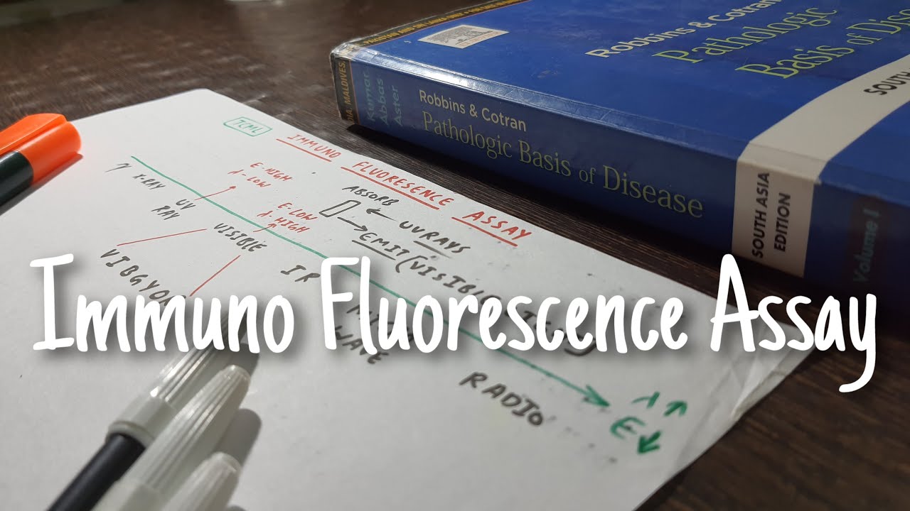 Immuno Fluorescence Assay or IFA | Part 1 | TCML - YouTube