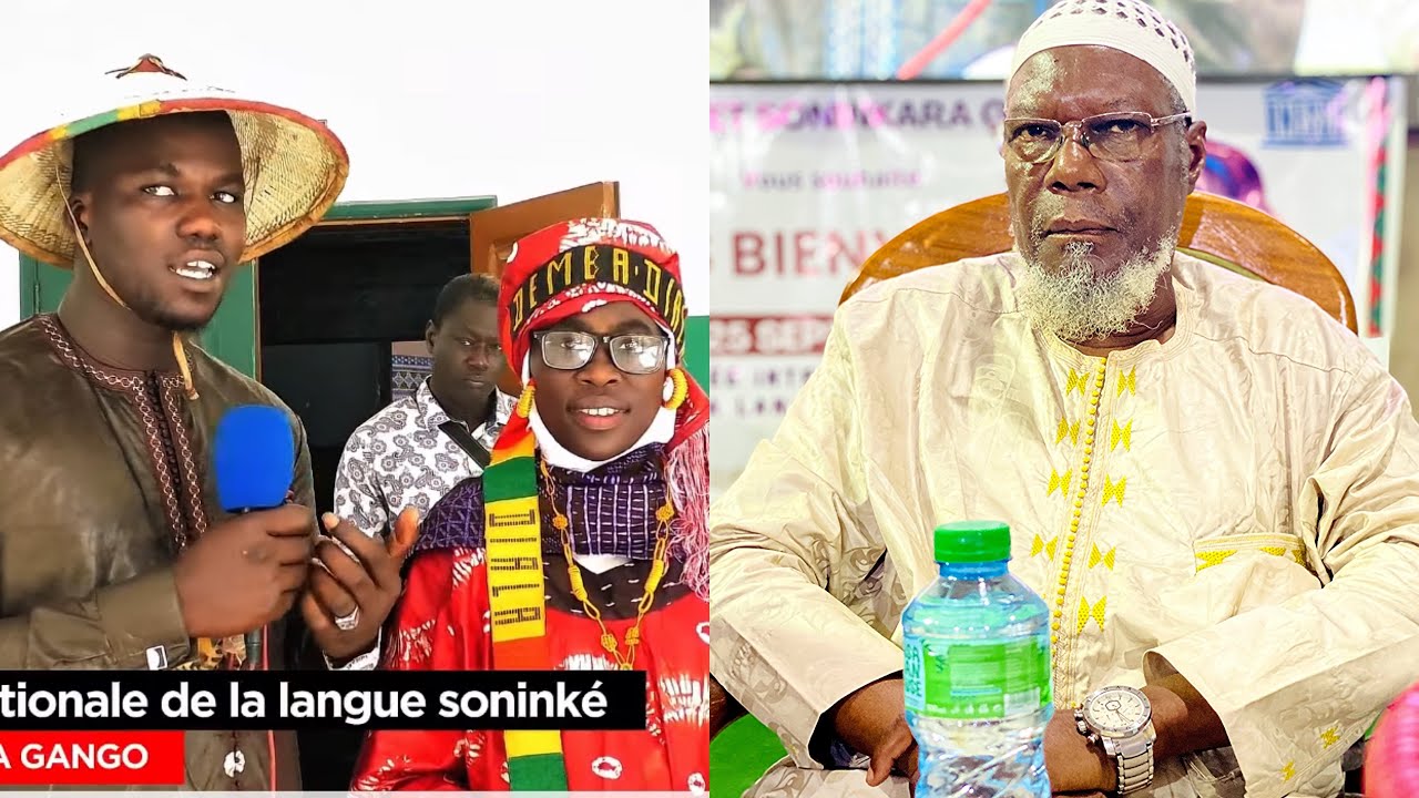 Journée internationale de la langue soninké _ les réactions (AJTAS ...