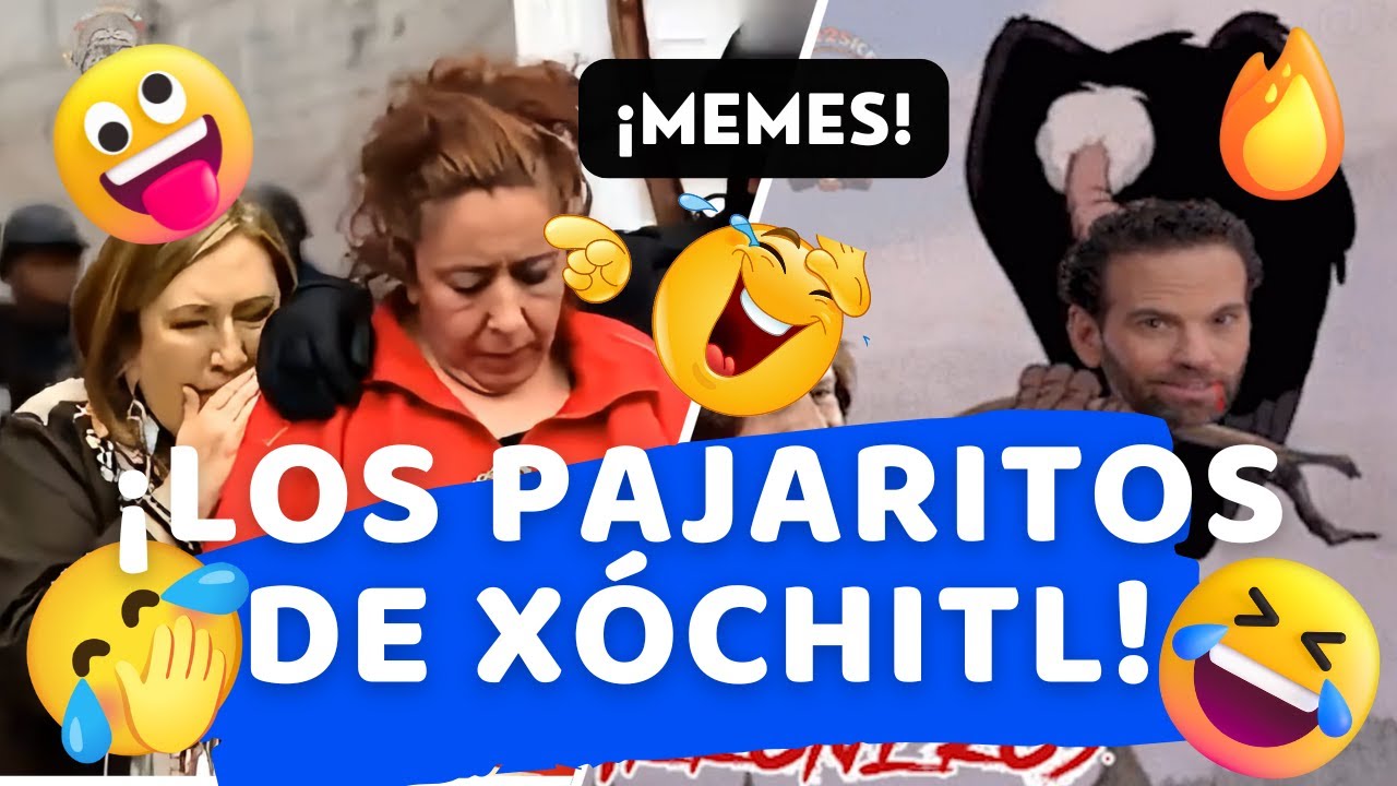 MEMES 🤣 ¡Xóchitl Gálvez escucha PAJARITOS y descubre que su hermana la ...