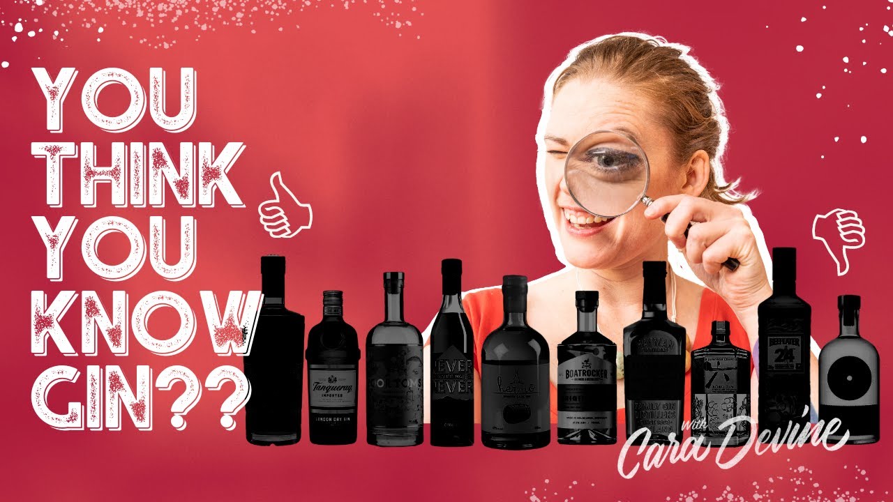 All about GIN! Everything you need to know - history, the different ...