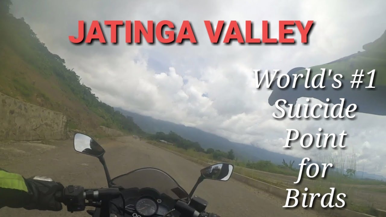 Welcome to Jatinga Valley - YouTube