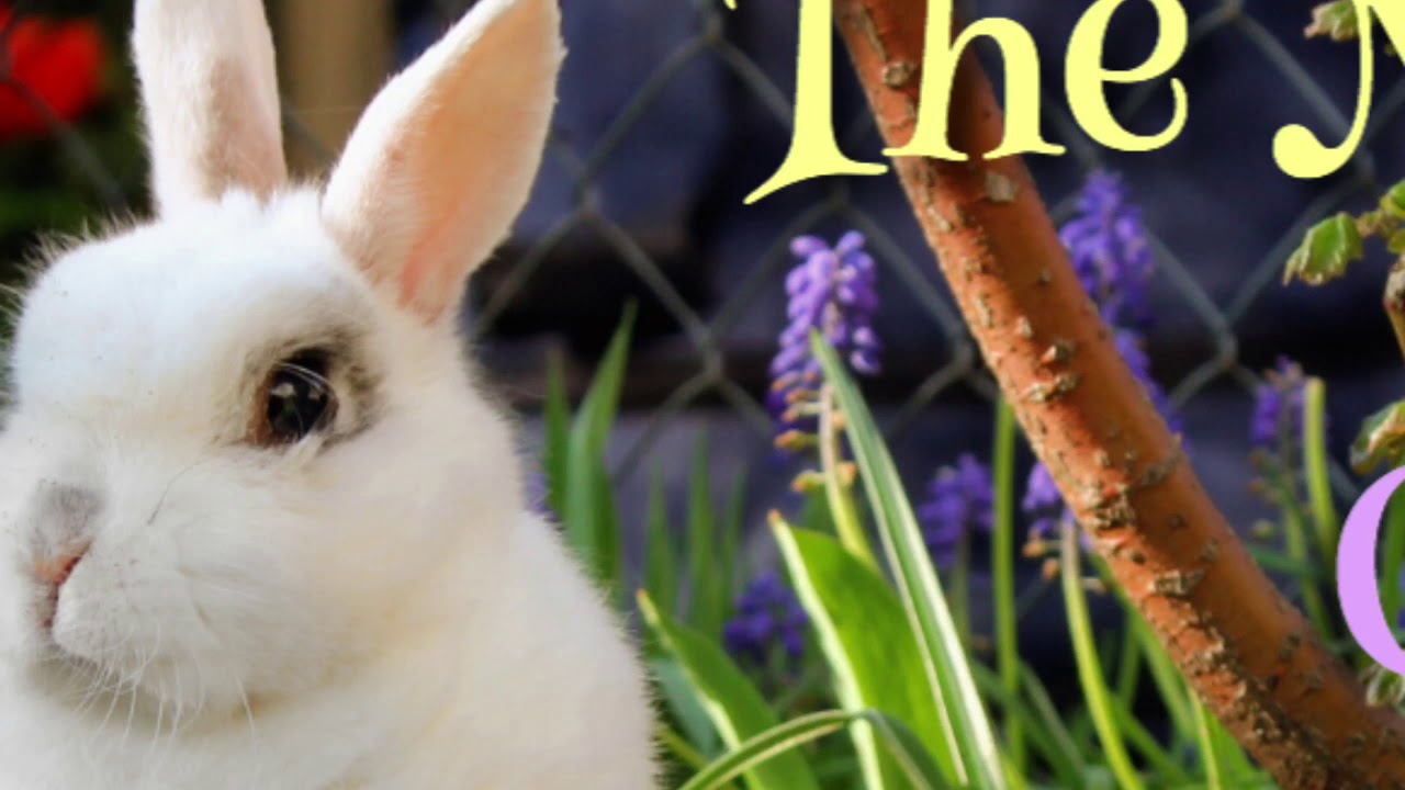 The Magic Of Easter - YouTube