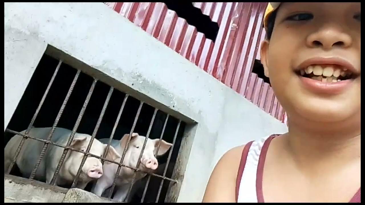 Halina't Mamasyal sa munting farm ni Lolo/KuyaGabPH - YouTube