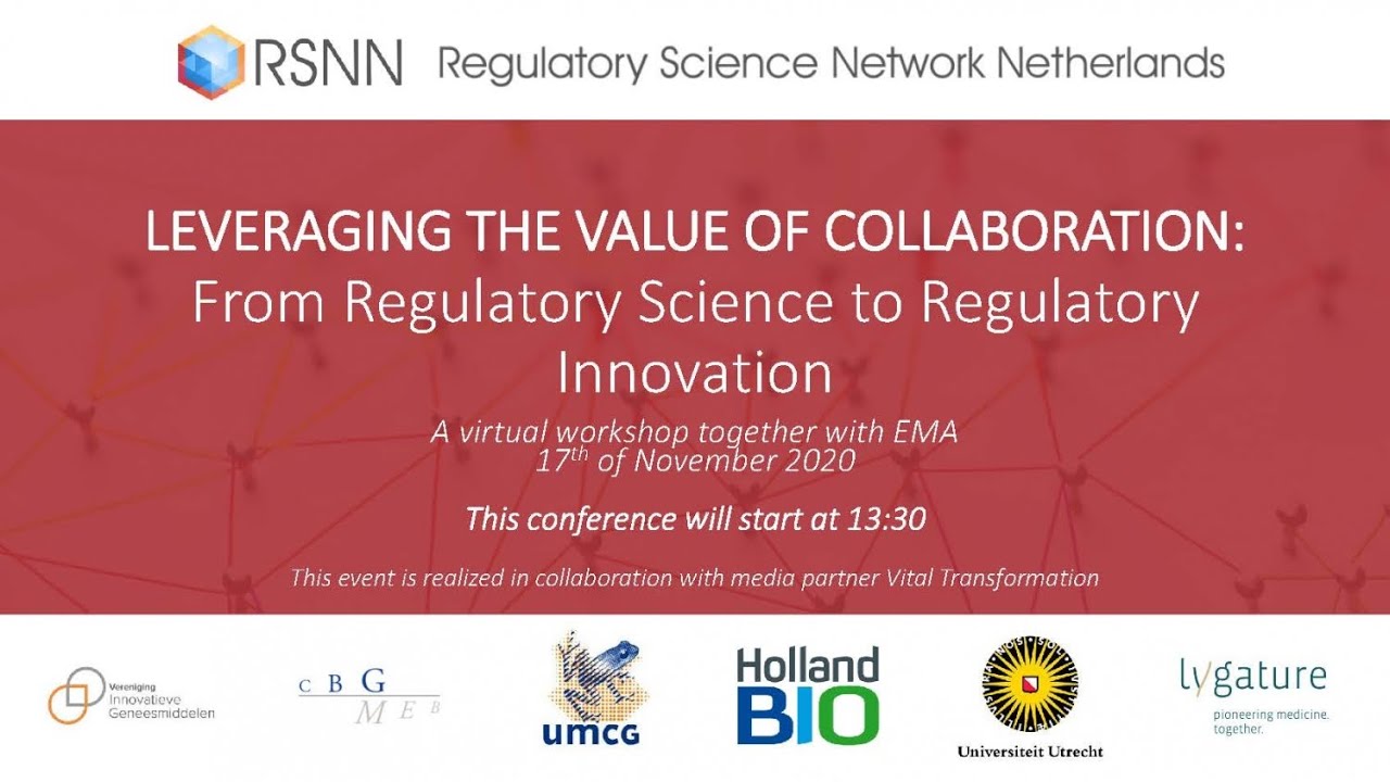 RSNN workshop: Leveraging the value of collaboration (17 November 2020 ...