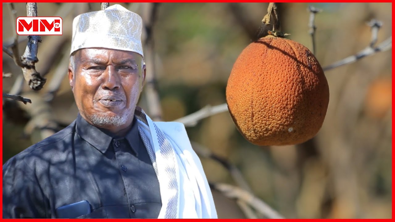 Xanuun Beeralayda Degmada Agabar Soo Wajahay - YouTube