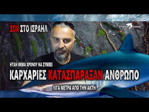 ΚΑΡΧΑΡΙΕΣ ΚΑΤΑΣΠΑΡΑΞΑΝ ΑΝΘΡΩΠΟ στο ΙΣΡΑΗΛ (Subs) - YouTube