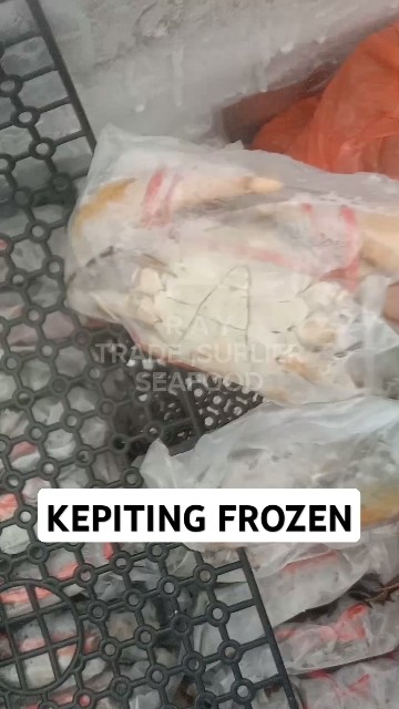 kepiting frozen, info/order 085691895738 - YouTube