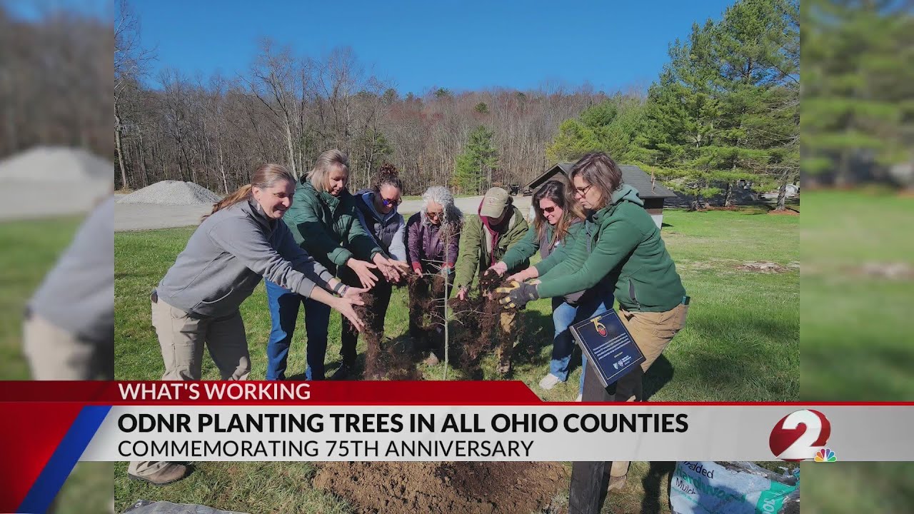 Division of Forestry to plant trees in every Ohio county - YouTube