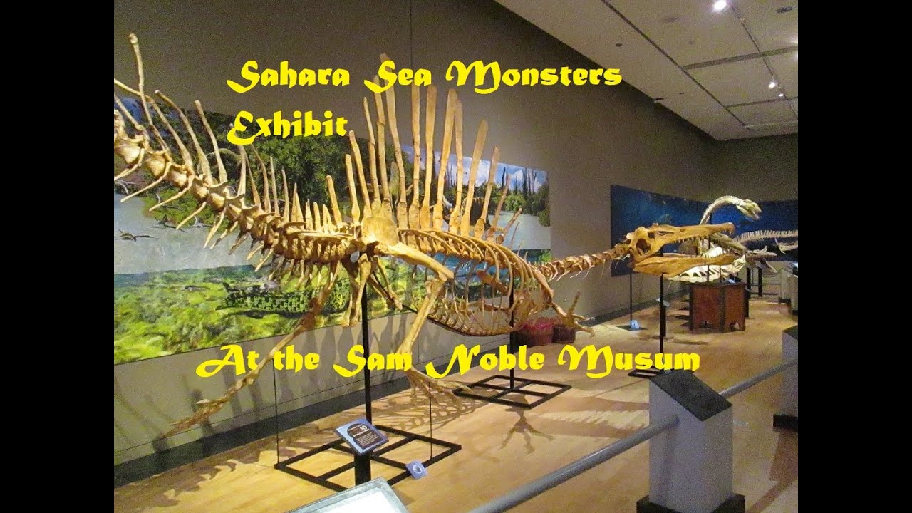 Museum Exhibit: Sahara Sea Monsters - YouTube