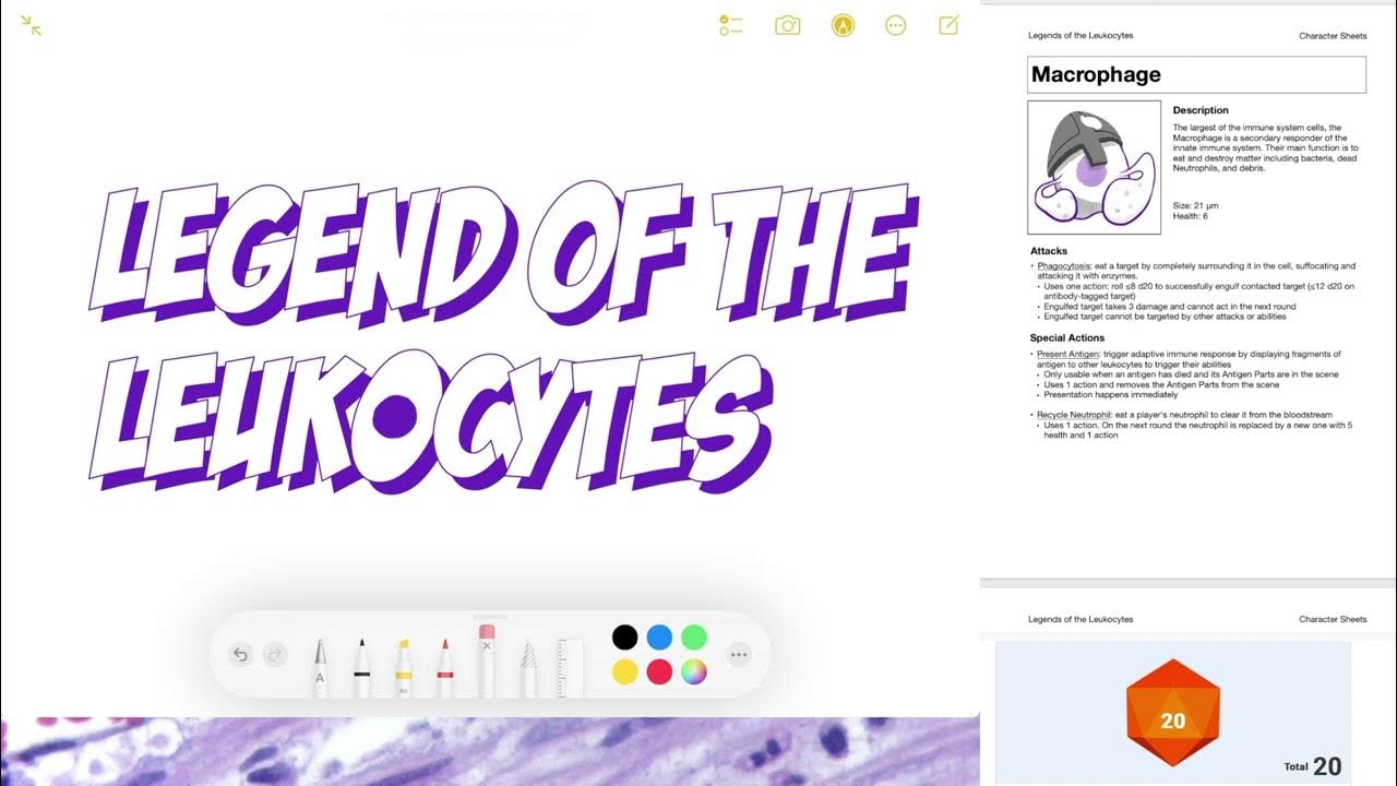 Legend of the Leukocytes Tutorial Video - YouTube